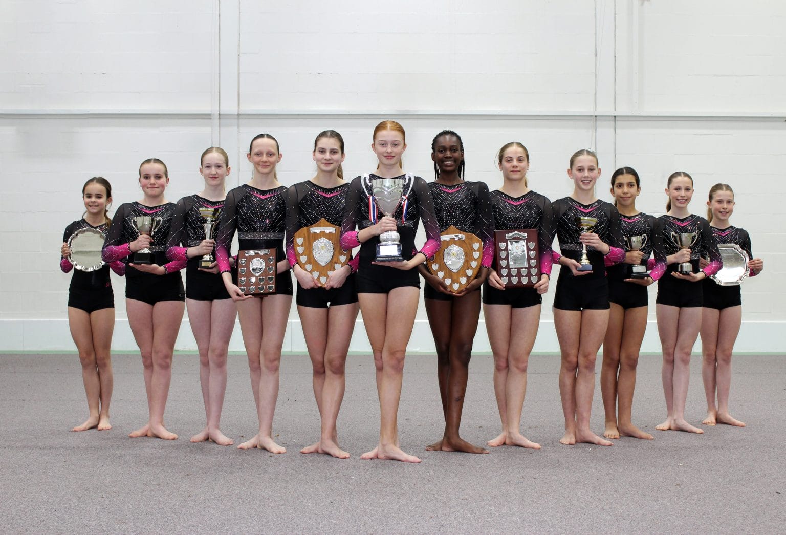 Sarah Berry - Streatham and Clapham High School
